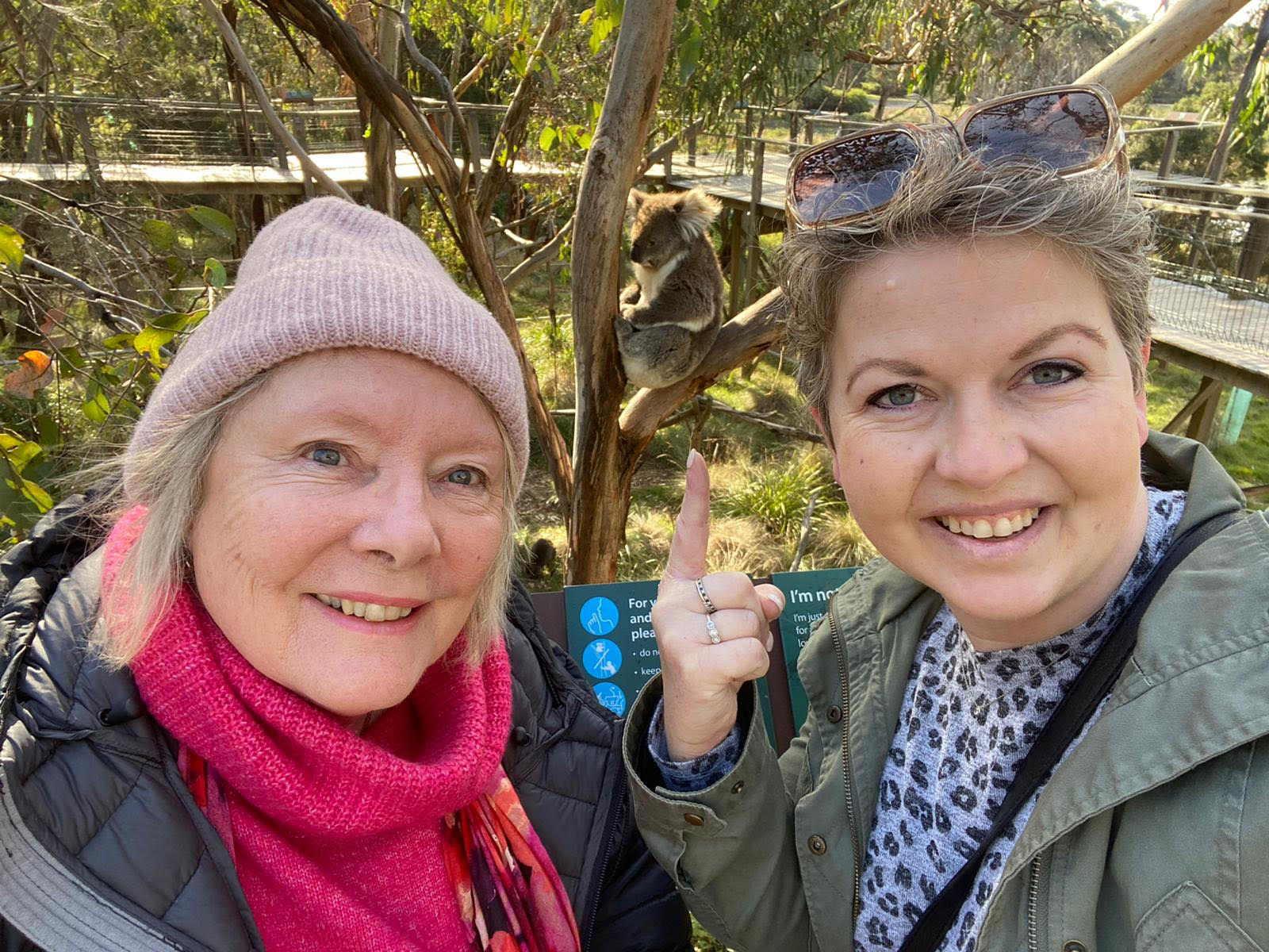 Koala Bear on the vision board appears in real life - Mary Nondé