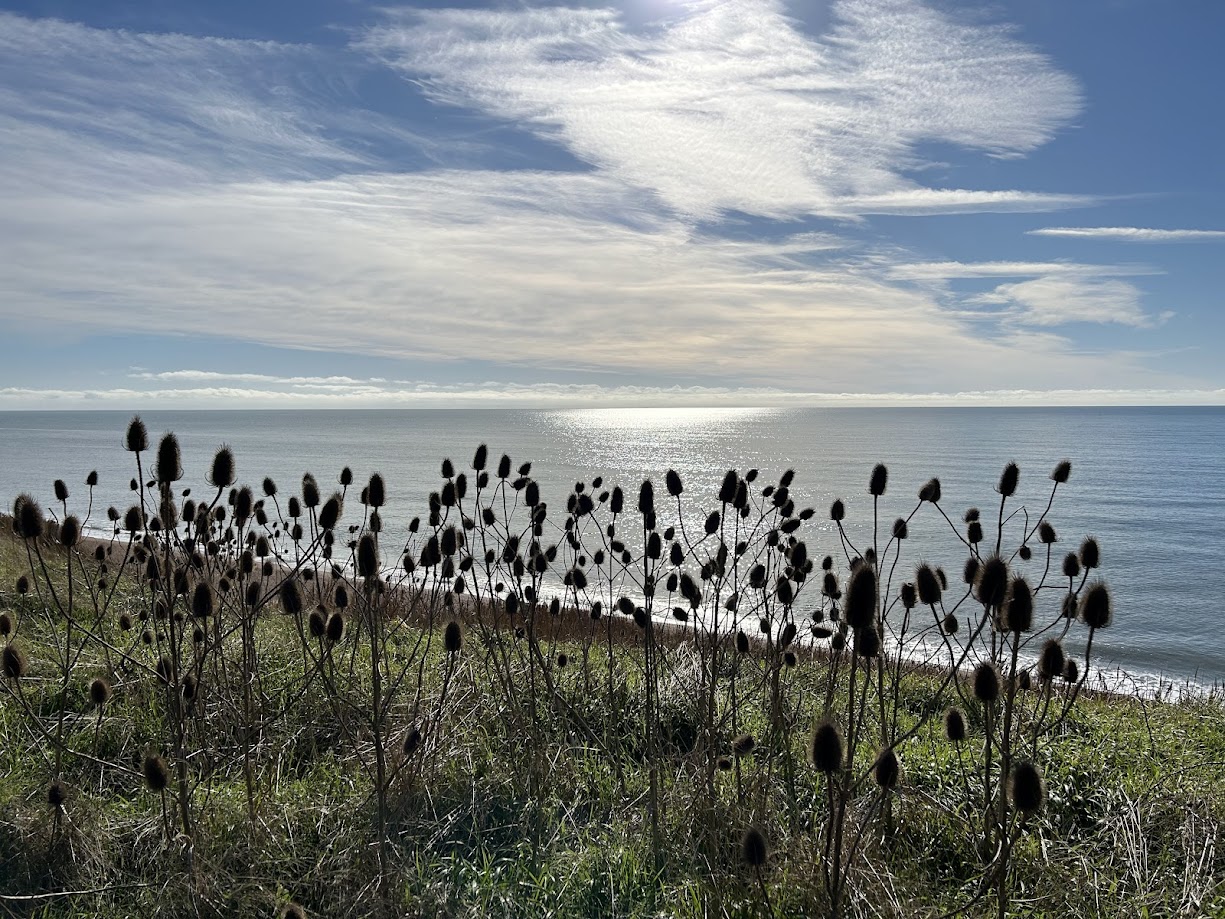 Understanding the levels of the mind brings clarity and insight - Mary ...